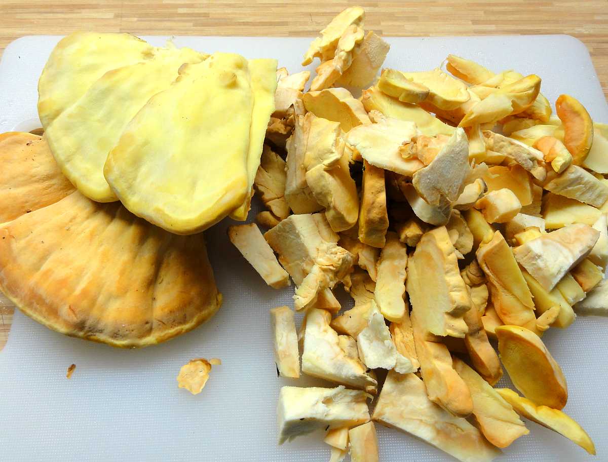 Jak uvařit houbu sírovec ve smetanové omáčce s kari | recept na omáčku ...